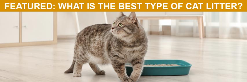 Home [www.cathealth.com]